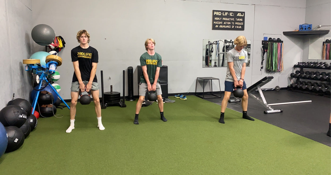 Prolific Performance – Prolificperformance.net