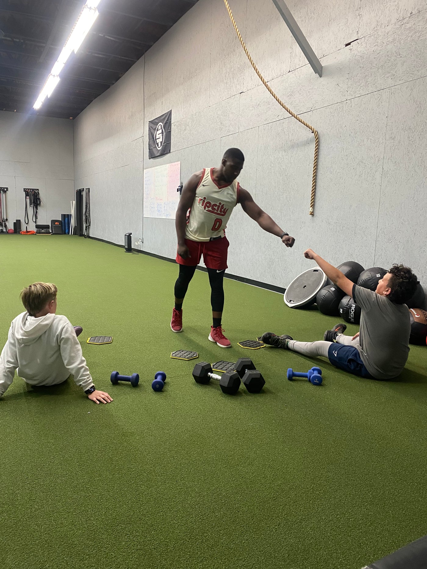 Prolific Performance – Prolificperformance.net