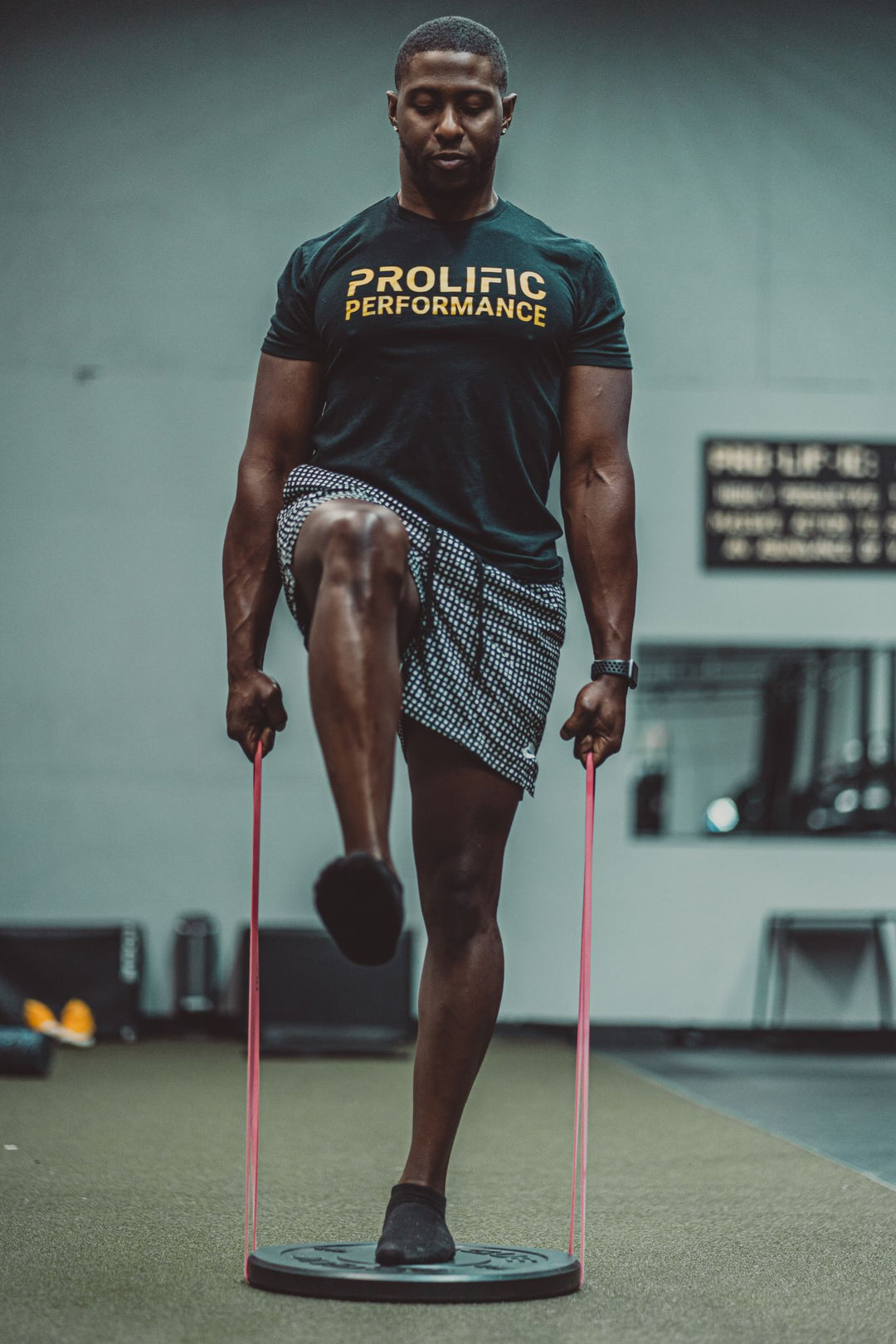 Prolific Performance – Prolificperformance.net